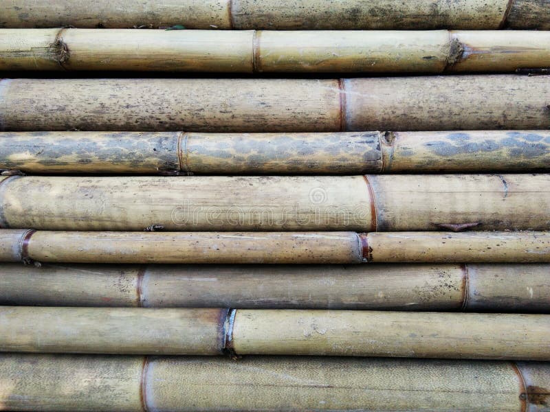 Traditional Bamboo Raft Floats Over the Clear River in the Morning ...