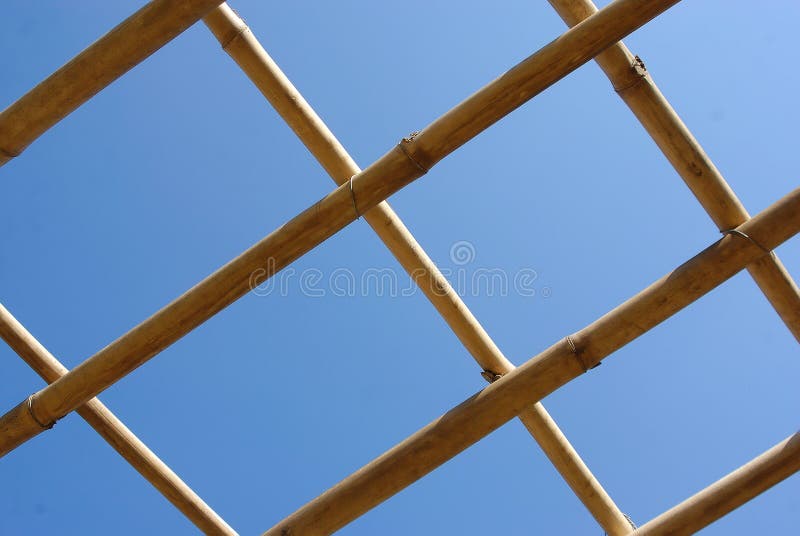 Bamboo net stock photo. Image of garden, house, gardening - 4037008