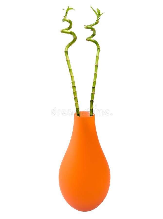 Bamboo in orange vase stock photo. Image of freshness - 13176618