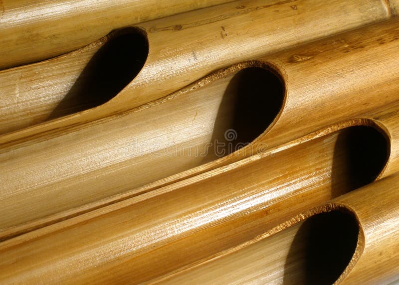 Bamboo organ stock photo. Image of plant, organ, japanese - 1929684