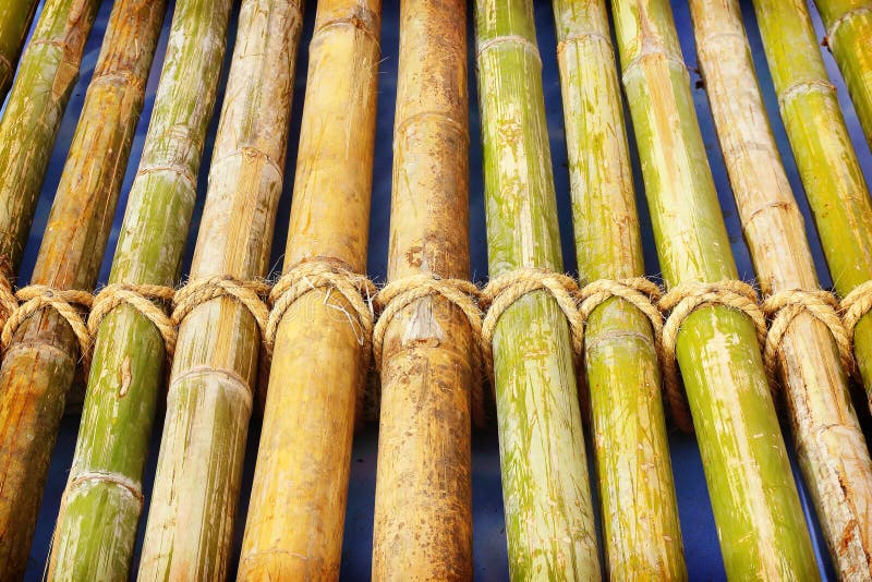 Rope Tied To a Bamboo Fence. Stock Photo - Image of decorative, object ...