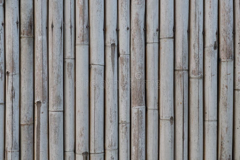 Bamboo partition design stock photo. Image of interior - 17019546