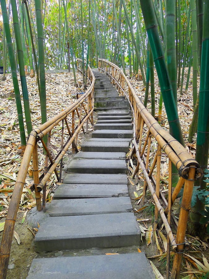 Bamboo Path Royalty Free Stock Photos - Image: 18635258