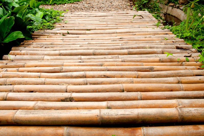 Bamboo path stock photo. Image of crossing, sunny, tree - 29143736