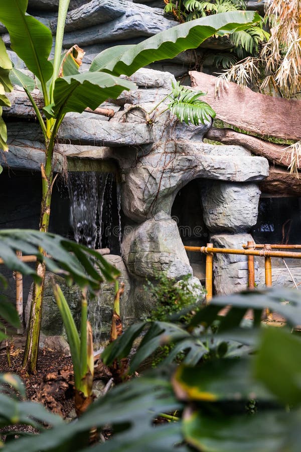 A Bamboo Path and a Grotto with a Waterfall Against the Backdrop of ...