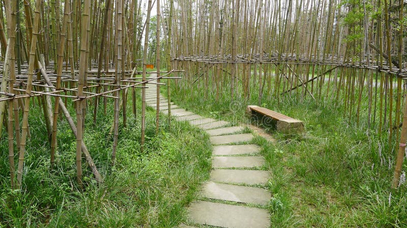 Bamboo path stock image. Image of freshness, grove, foot - 18746887