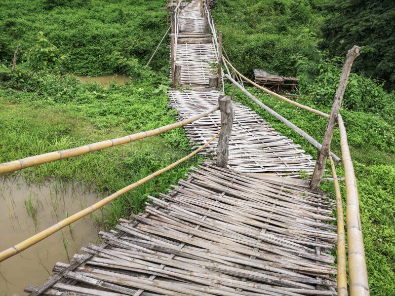 Bamboo Pathway stock image. Image of growth, walk, path - 2658477
