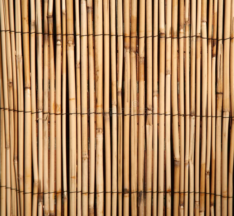 Bamboo pattern background stock photo. Image of abstract - 946328