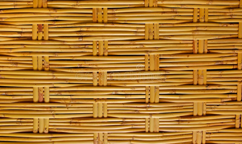 Bamboo pattern / texture stock image. Image of bundle - 17046223