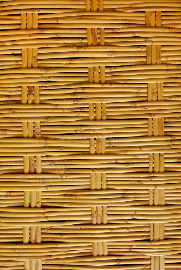 Zen bamboo stock photo. Image of culture, bamboo, trees - 18920862