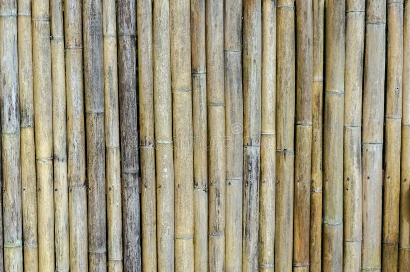 527 Bamboo Strip Texture Background Stock Photos - Free & Royalty-Free ...
