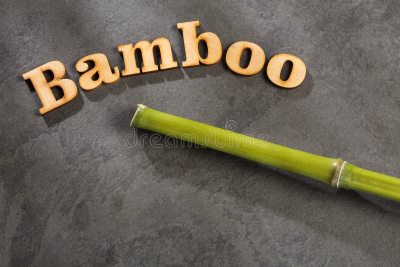 Bamboo Phrase in Wooden Letters - Bambusoideae Stock Photo - Image of ...