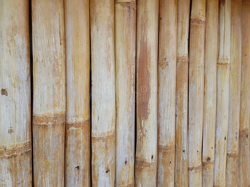 Bamboo Pieces Arranged Parallel with Yellow and Orange Surface Stock ...