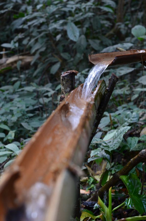 Bamboo pipe dripping water stock image. Image of pipe - 42613223