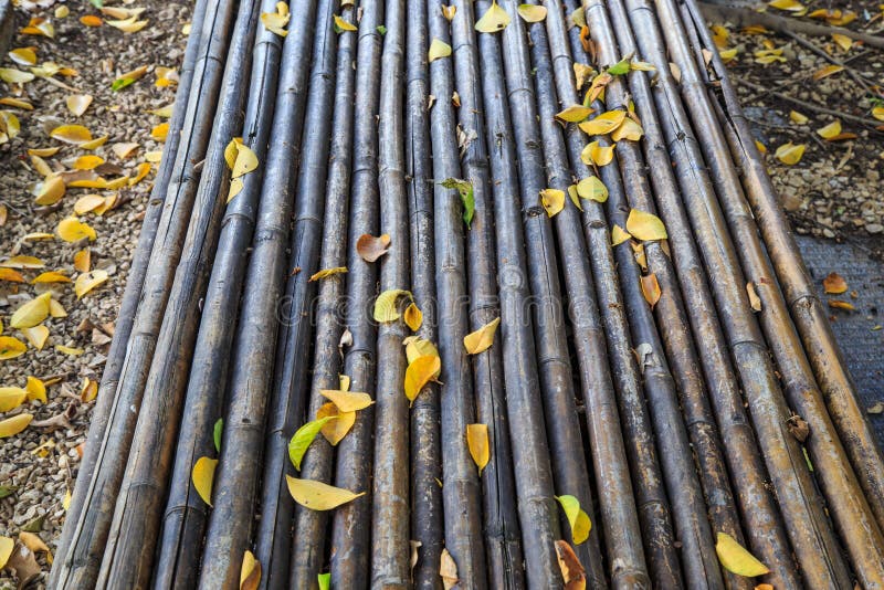 Bamboo pipes. stock image. Image of bough, decor, fence - 62508109
