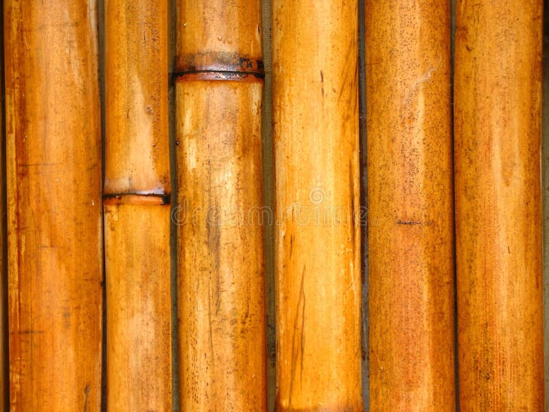 Bamboo Pole Texture stock image. Image of plant, segments - 21194309