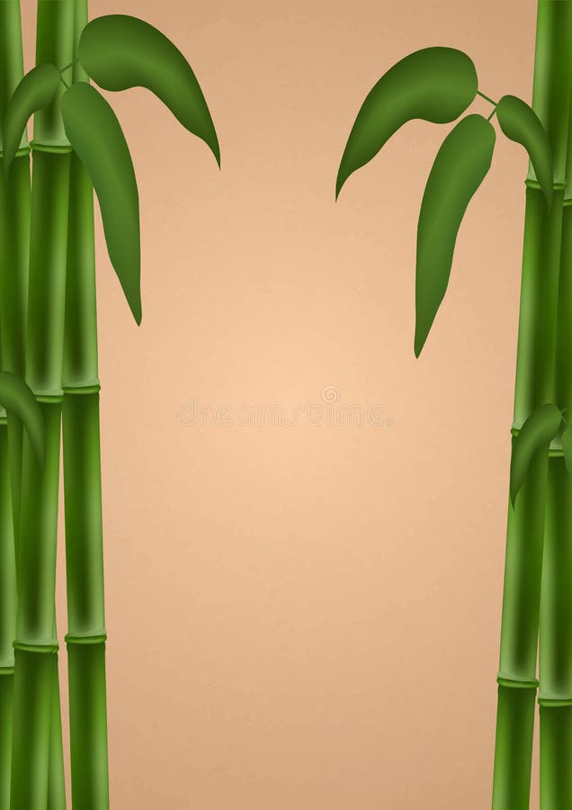 Bamboo Poster. Template for Design. Vector Illustration. Stock ...
