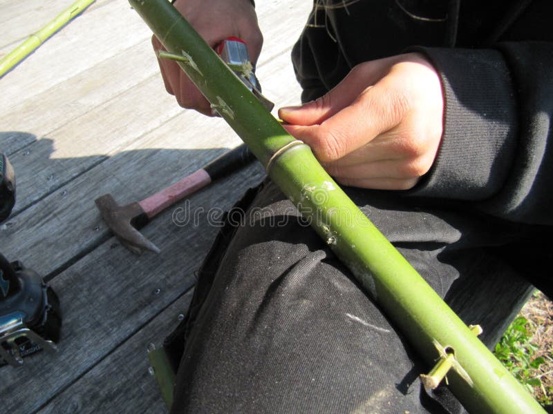 Bamboo Processing and Bamboo Craft Stock Photo - Image of industry, trade: 256427420