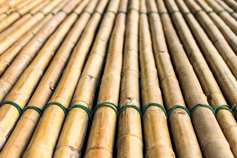 Raft stock photo. Image of float, water, munich, bark - 58447748