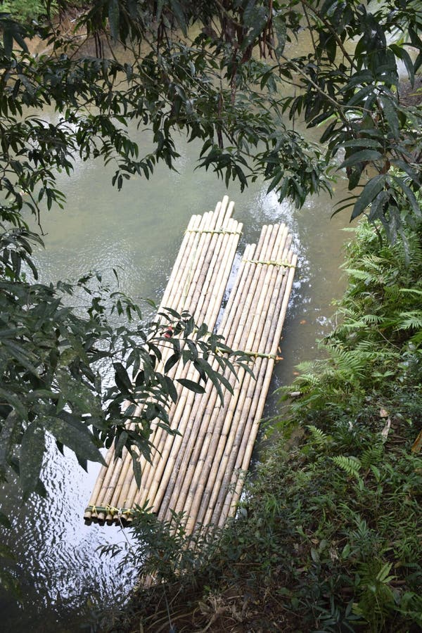 Bamboo raft stock photo. Image of bamboo, competition - 103370070