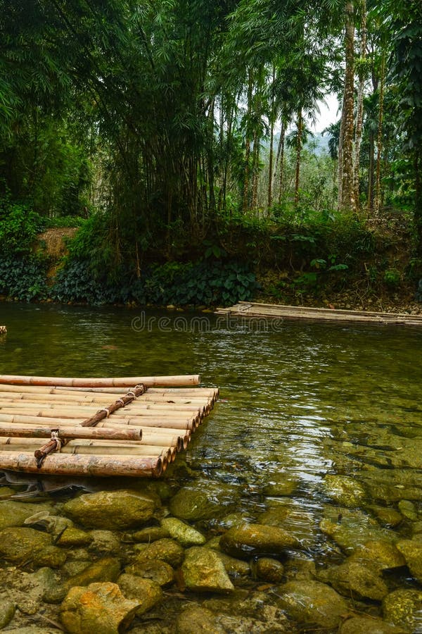 Bamboo raft stock photo. Image of tropical, forest, rocks - 55175252
