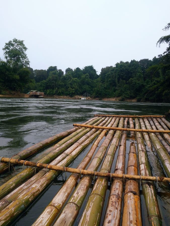 Have Fun on a Bamboo Raft or Low Raft. Stock Photo - Image of tree ...
