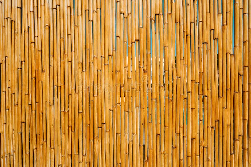 Bamboo or Reed Straw Background. Bamboo or Reed Straw Abstract Banner ...