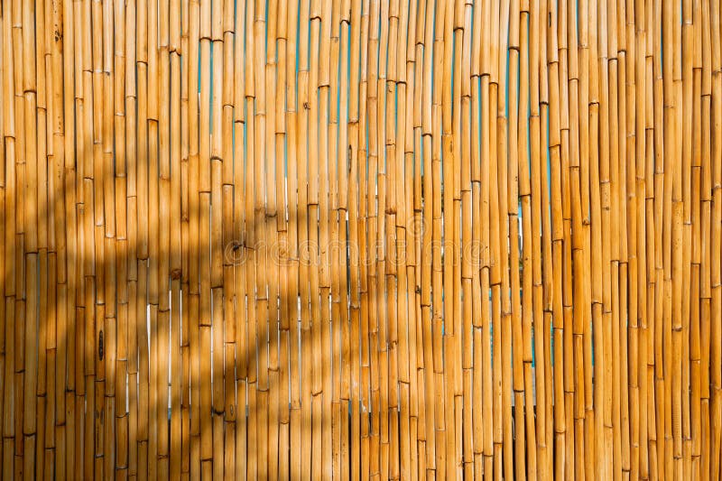 Bamboo or Reed Straw Background. Bamboo or Reed Straw Abstract Banner ...