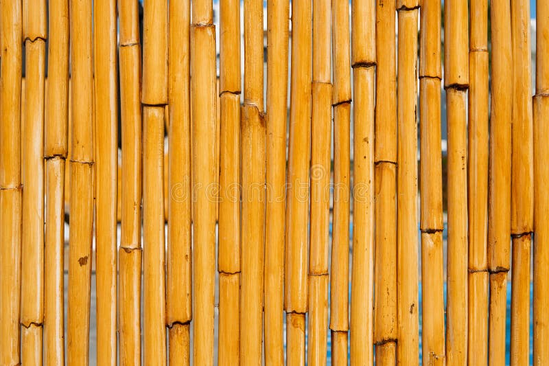 Bamboo or Reed Straw Background. Bamboo or Reed Straw Abstract Banner ...