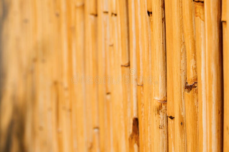 Bamboo or Reed Straw Background. Bamboo or Reed Straw Abstract Banner ...