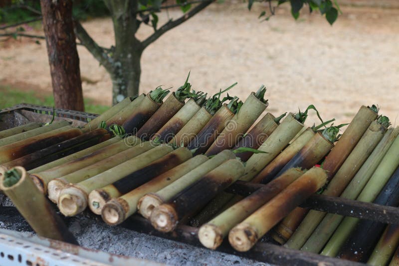 Bamboo rice stock photo. Image of traditional, bamboo - 155455230