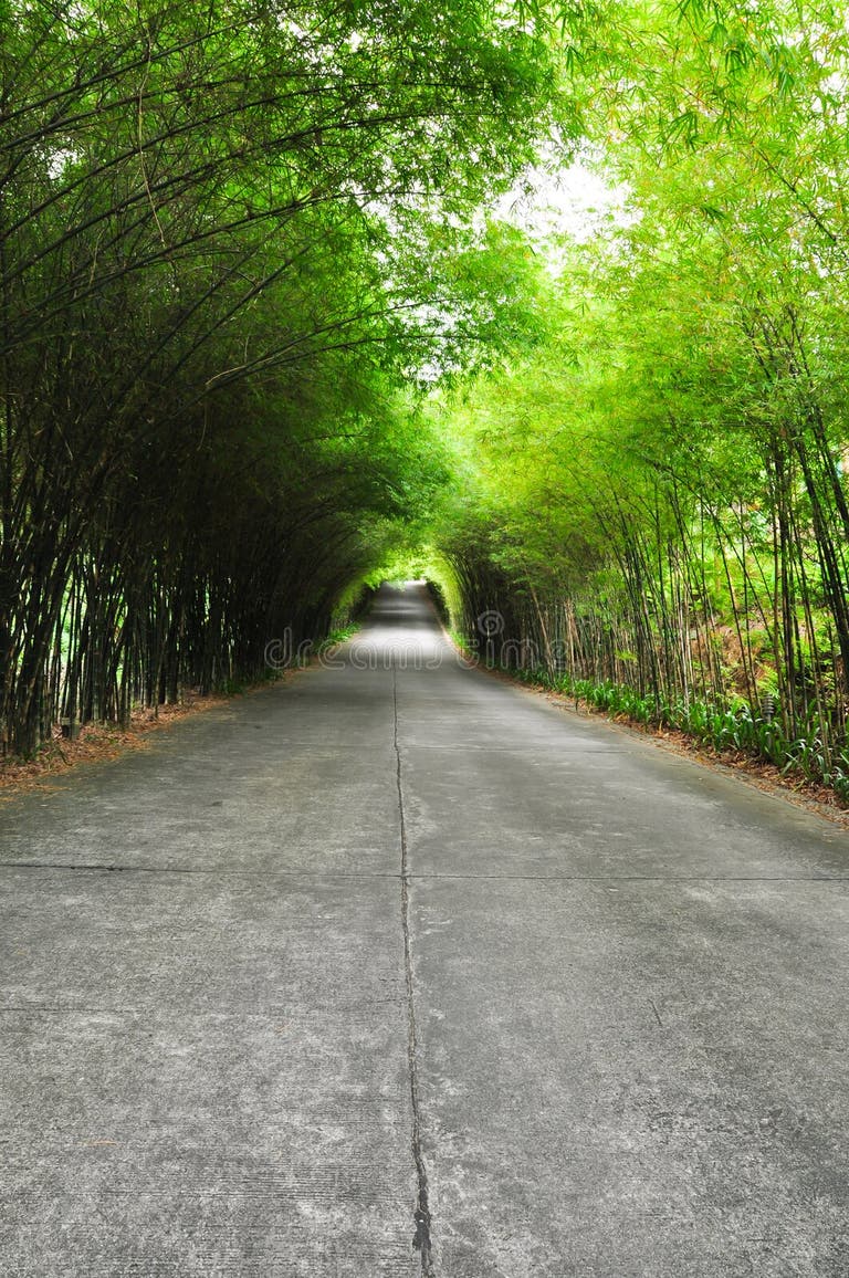 3,036 Bamboo Leaf Road Stock Photos - Free & Royalty-Free Stock Photos ...