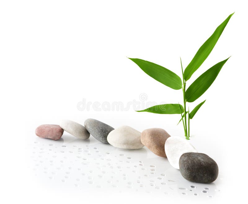 Bamboo stock image. Image of natural, ggrowth, bambou - 4455057