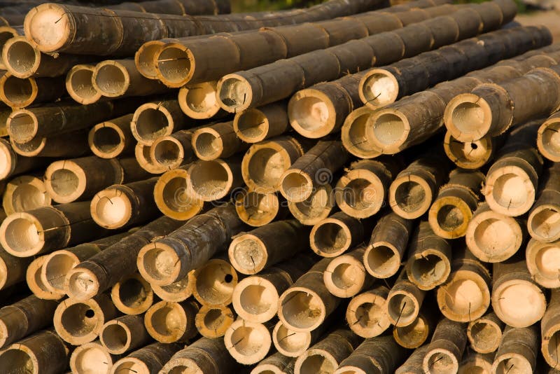 Bamboo rods stock photo. Image of color, vegetation, brown - 23766962