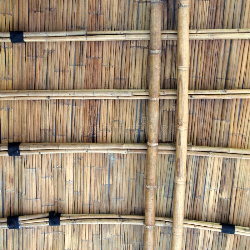 Bamboo roof stock photo. Image of house, architecture - 142759598