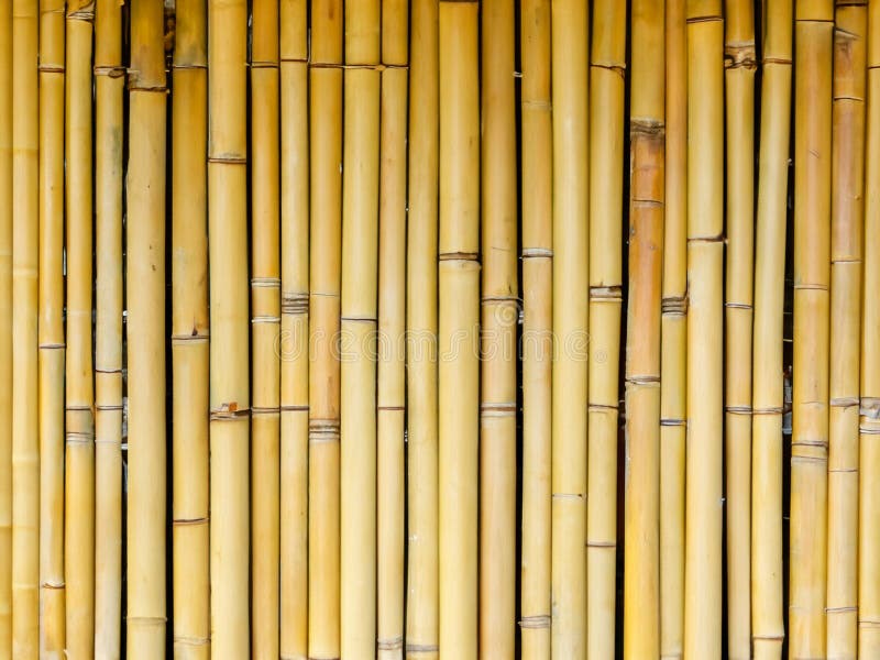 Bamboo Roof Texture Stock Illustrations – 160 Bamboo Roof Texture Stock ...