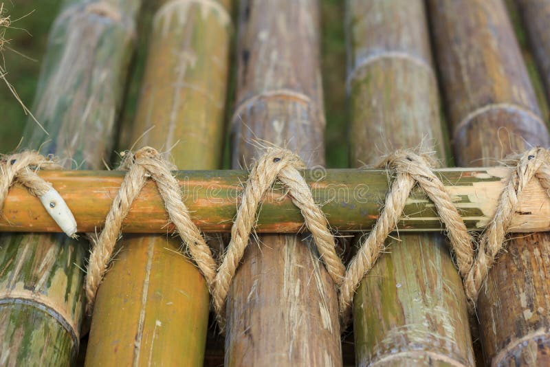 Bamboo and rope tied stock photo. Image of bark, branch - 47153198