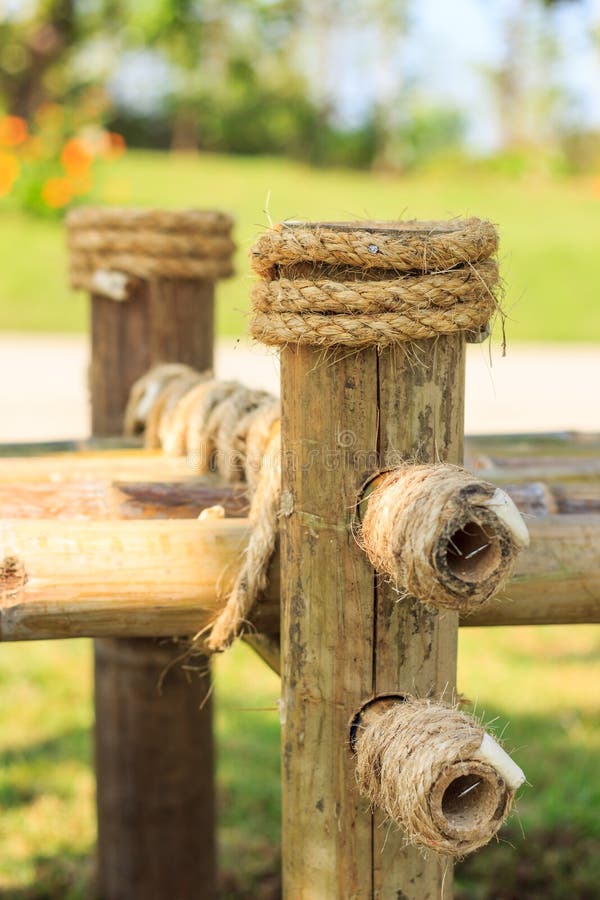 Bamboo and rope tied stock photo. Image of bark, branch - 47153198