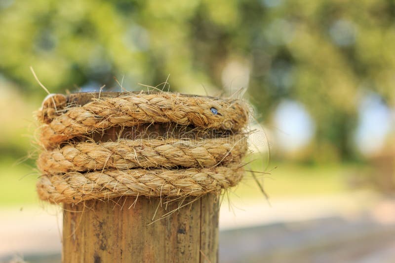 Bamboo and rope tied stock photo. Image of branch, natural - 47153374