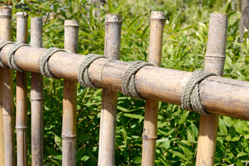 Rustic Fence stock photo. Image of wooden, post, farm - 23875594