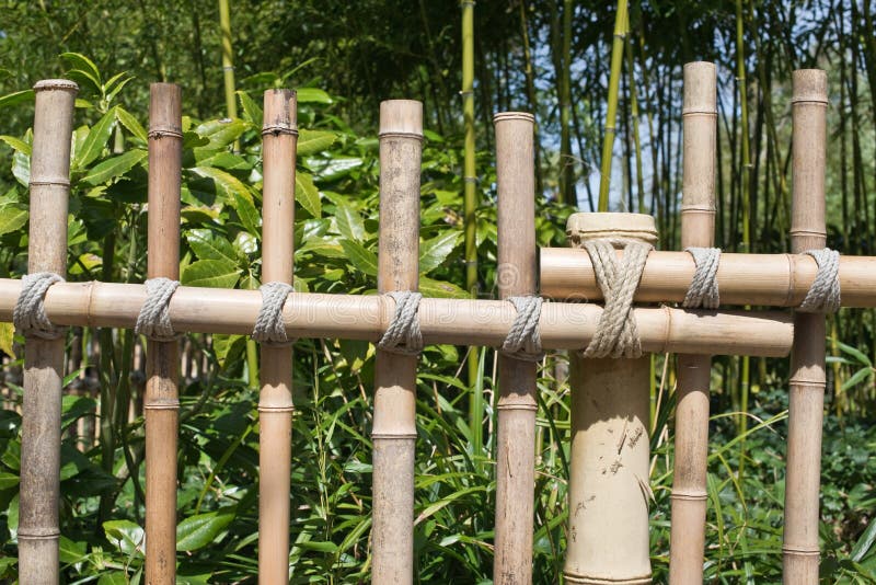 Bamboo rustic fence stock photo. Image of natural, asian - 56518386