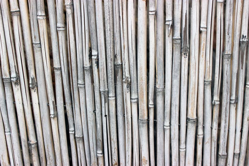 Bamboo Rustic Wall Fence Textured Background Stock Image - Image of ...