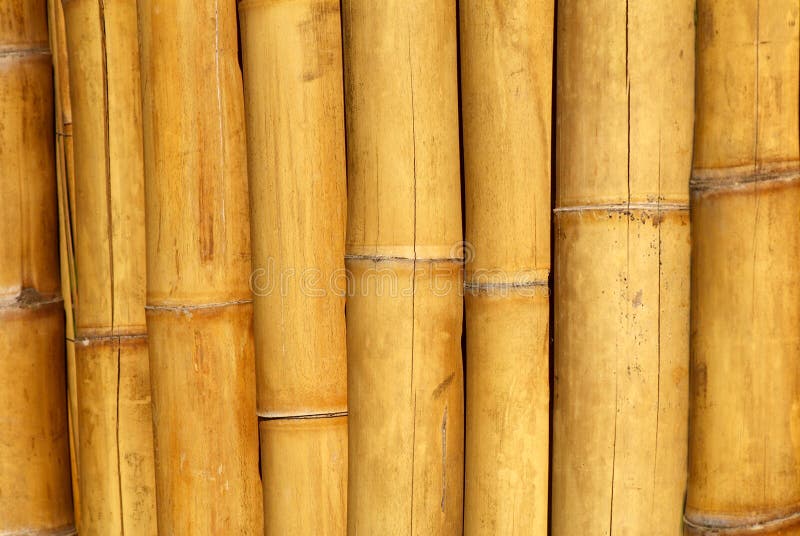 Bamboo Screen. Picture Image: 6647787