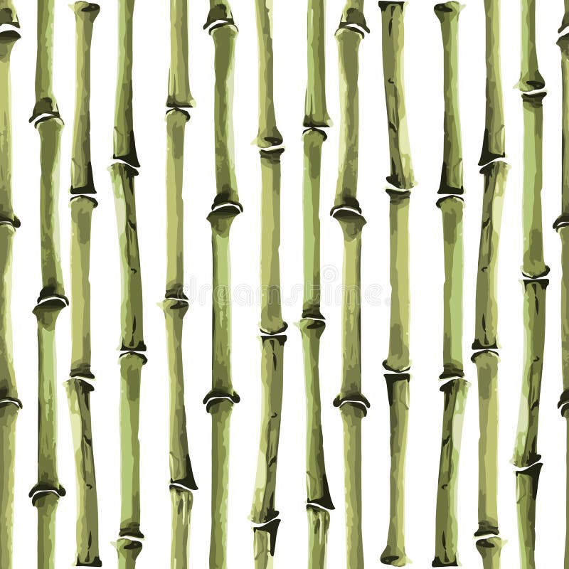 Bamboo pattern, seamless, stock vector. Illustration of growth - 17011101