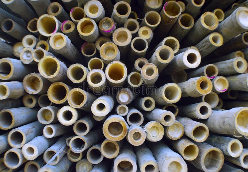 Bamboo section stock photo. Image of form, graphic, bamboo - 27668528