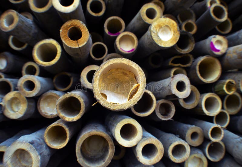 Bamboo section background stock photo. Image of natural - 92051828
