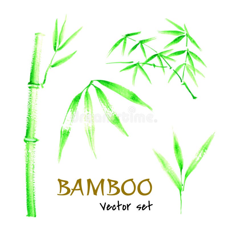 Bamboo set stock vector. Illustration of oriental, design - 54700111