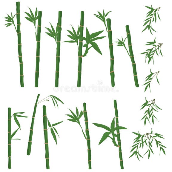 Straight Line Leaf Stock Illustrations – 1,672 Straight Line Leaf Stock ...