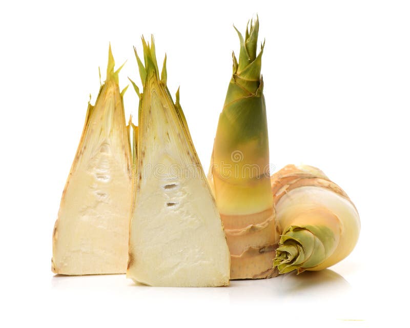 Bamboo shoot stock image. Image of china, antioxidant - 126310397