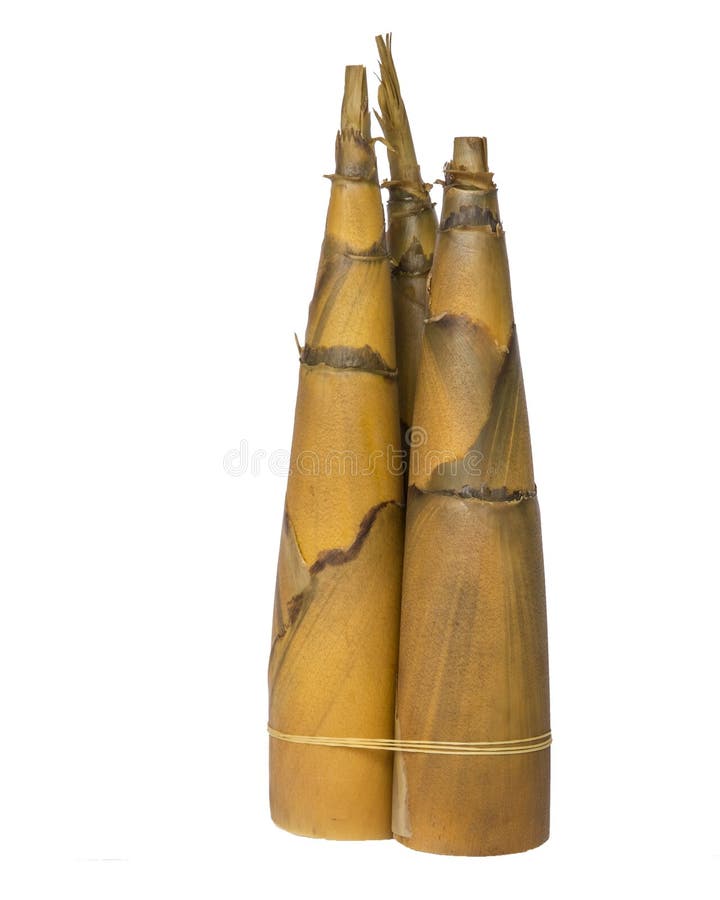 Soft Boiled Bamboo Shoots Stock Photos - Free & Royalty-Free Stock ...